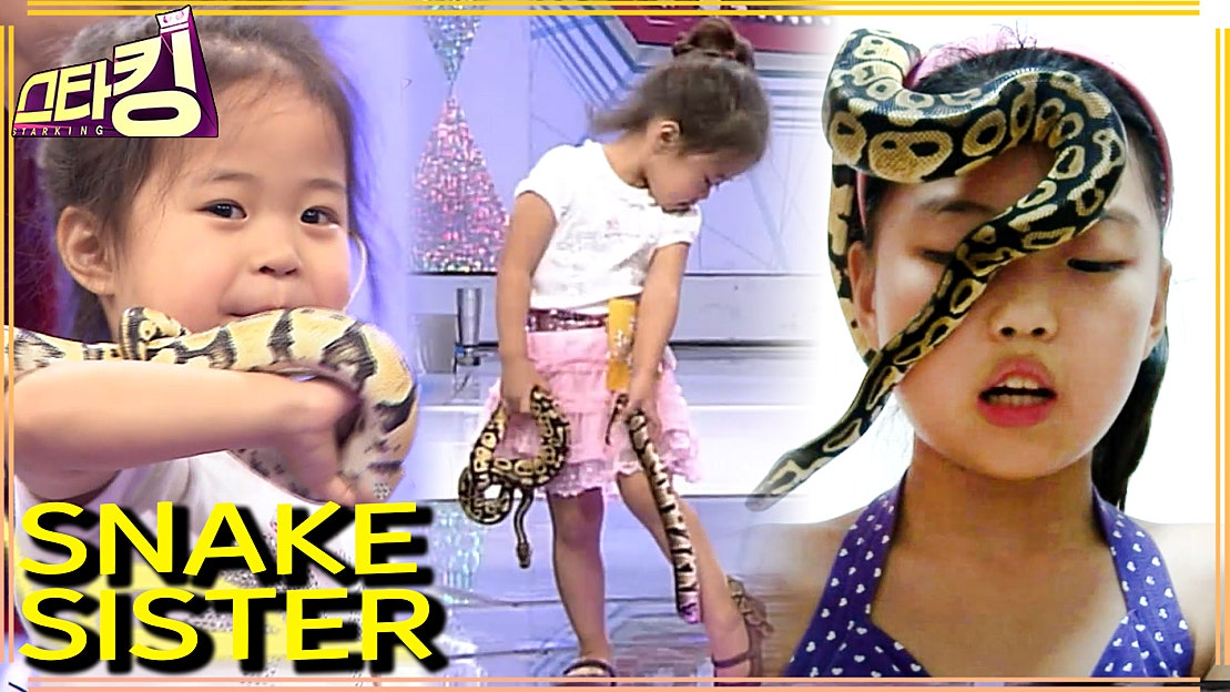 [스타킹] 뱀을 부리는 자매 | STARKING EP.177 | 4age-11age SNAKE SISTER - 네이버 TV