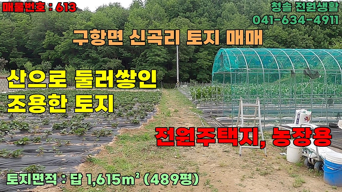 613. 홍성 토지/ 489평, 1억3천, 전원주택지, 농업용 토지, 컨테이너 농막/ 구항면 신곡리 - 네이버 TV