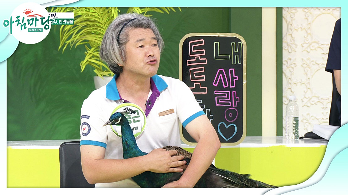 도도한 내 사랑♥ 뮤직비디오까지 나온 공작새 | KBS 220613 방송 - 네이버 TV