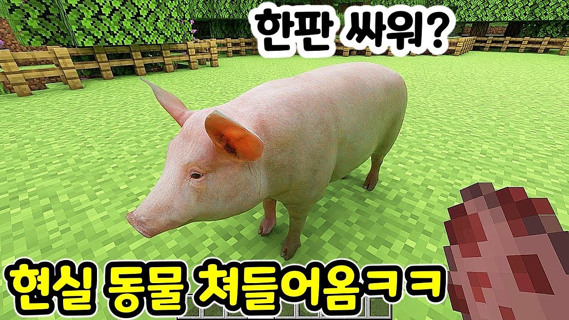 마크 오징어게임 초대 받는법 실제 나무를 손으로 뿌시는 현실 히로빈 마인크래프트 네이버 Tv