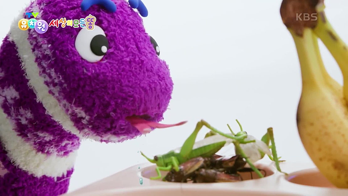 [세상의 모든 똥] 뱀은 무슨 반찬 좋아해~? | KBS 220720 방송 - 네이버 TV