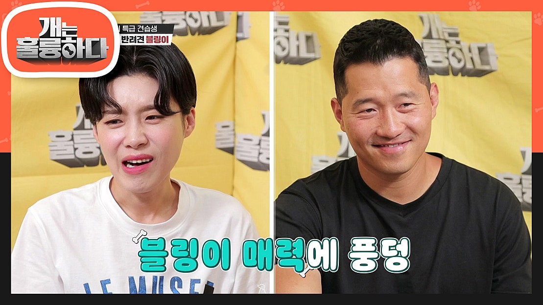 한보름의 반려견 블링이! 9년째 유기견 봉사! | KBS 220801 방송 - 네이버 TV