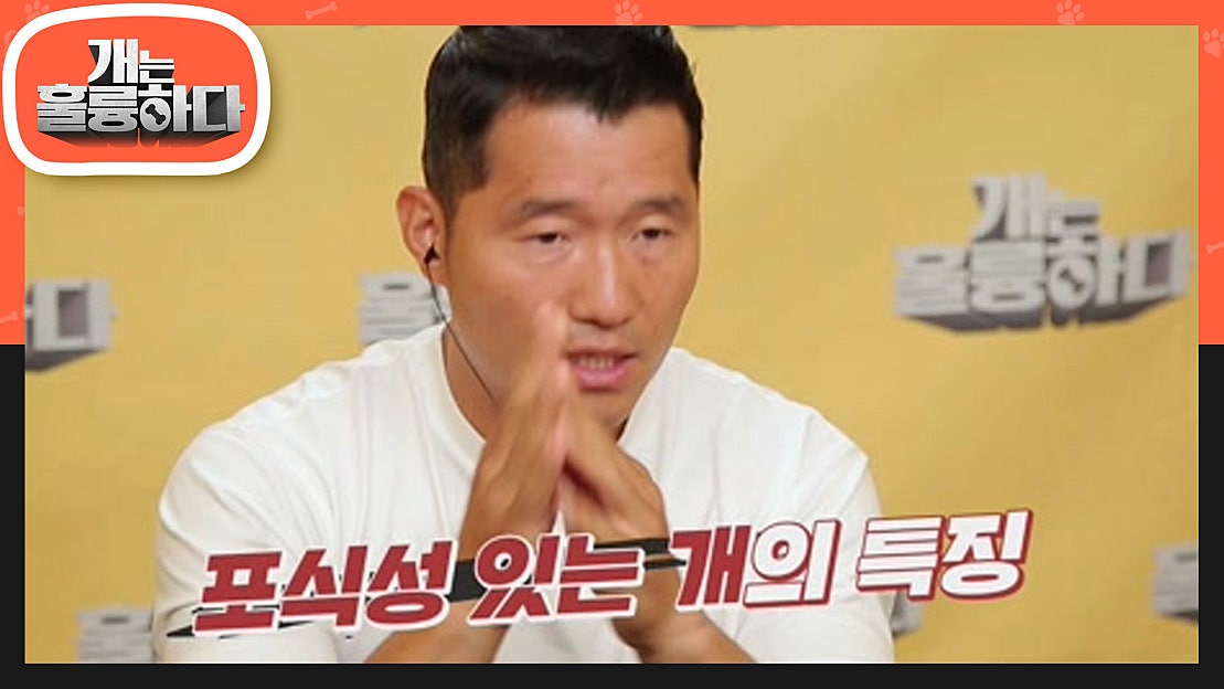 공격성을 파악하기 위한 실내 산책 테스트 그런데 세상 얌전하다 Kbs 220905 방송 네이버 Tv