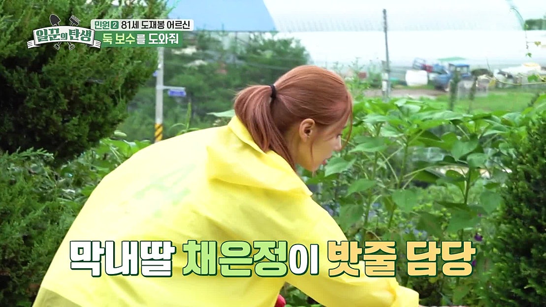 일꾼 4남매! 둑 보수를 도와줘~ | KBS 220921 방송 - 네이버 TV