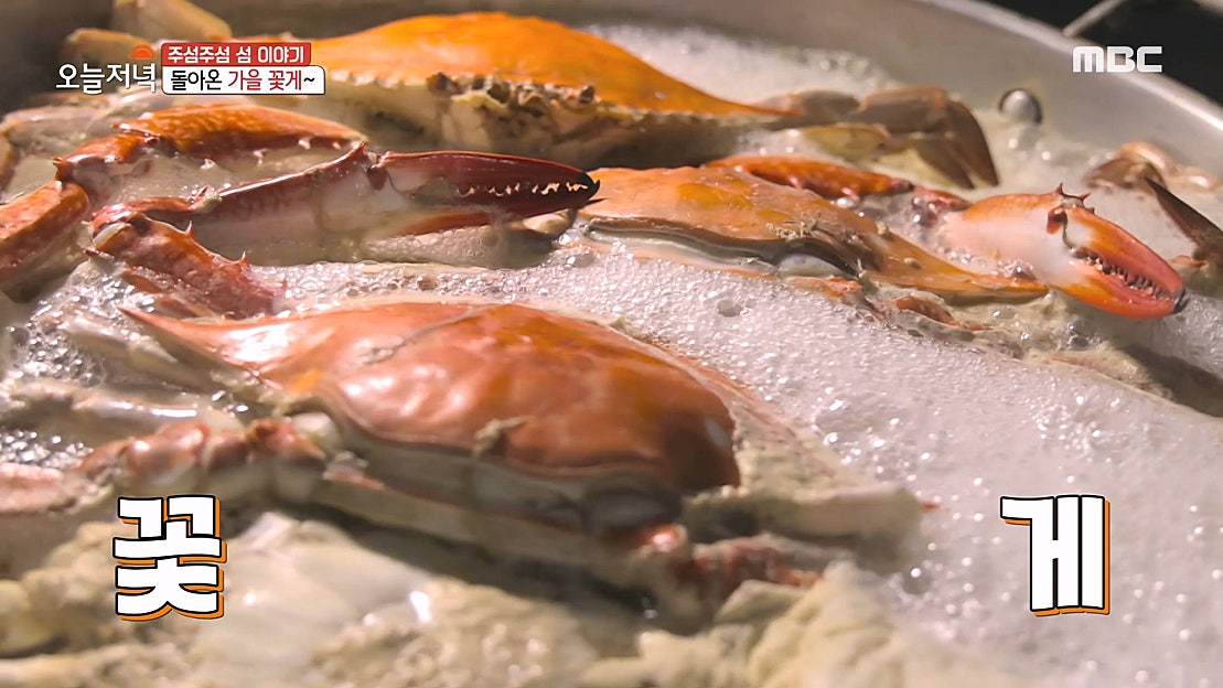 갓 잡은 싱싱한 가을 꽃게🦀, MBC 221026 방송 - 네이버 TV