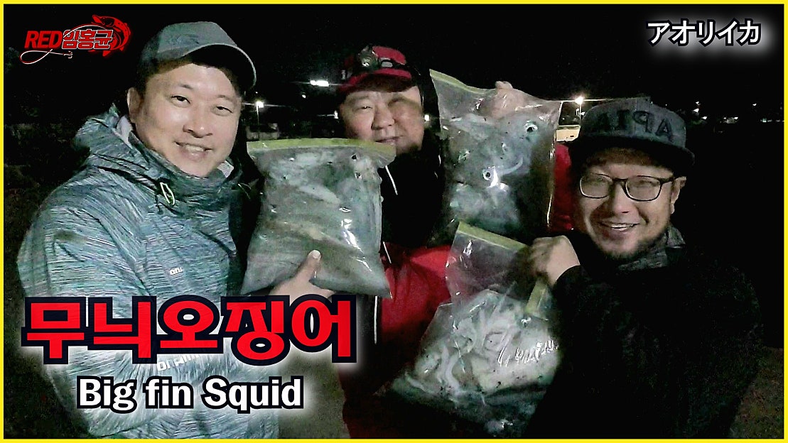 [경주] 무늬오징어 에깅낚시 3 - 초대형 지퍼팩 🦑 TIP_RUN 🎣 gyeongju squid Eging - 네이버 TV