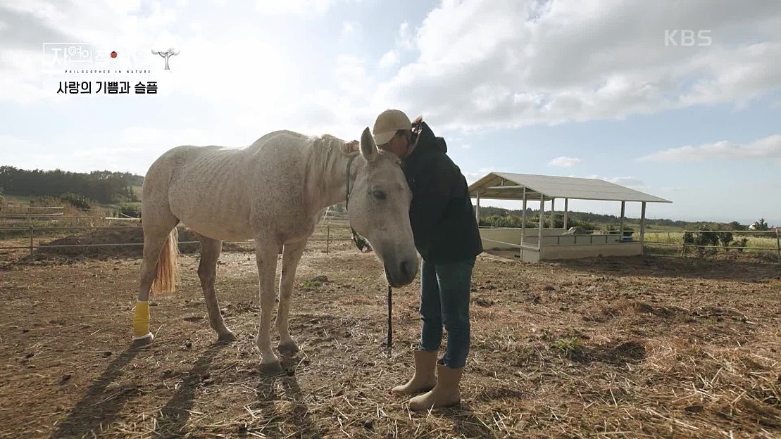 사랑의 기쁨과 슬픔 | KBS 221118 방송 - 네이버 TV