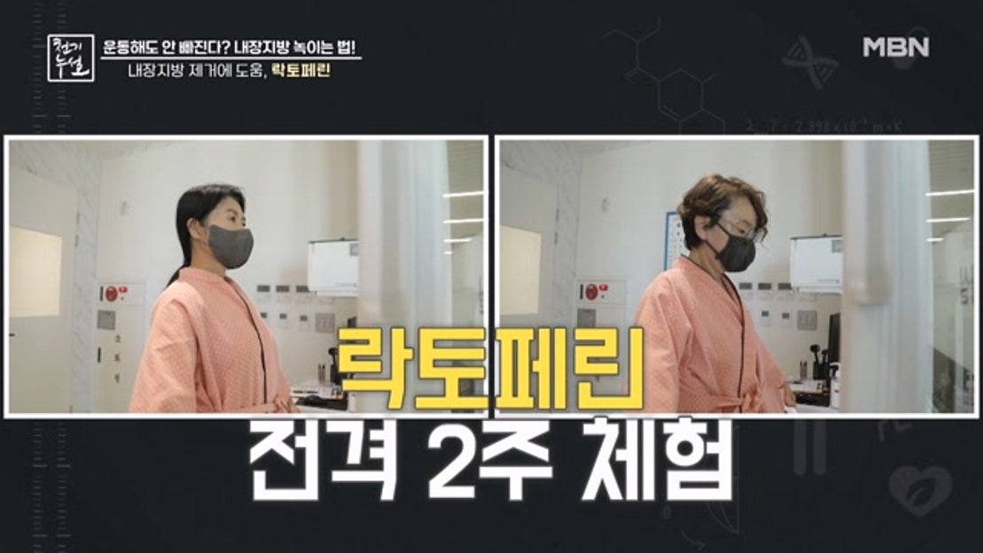 [실험] '내장지방 타파' 락토페린 전격 2주 체험! 그 결과는? MBN 221125 방송 - 네이버 TV