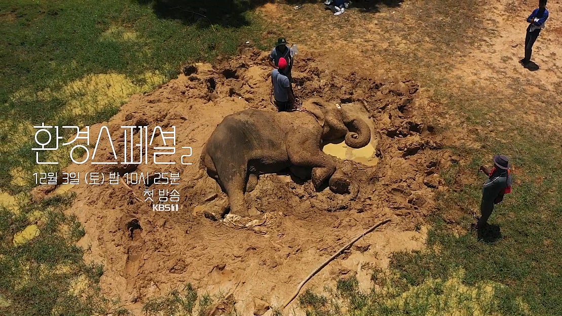 [티저] 환경 스페셜2 - 12월 3일(토) 밤 10시 25분 KBS1 첫 방송 | KBS 방송 - 네이버 TV