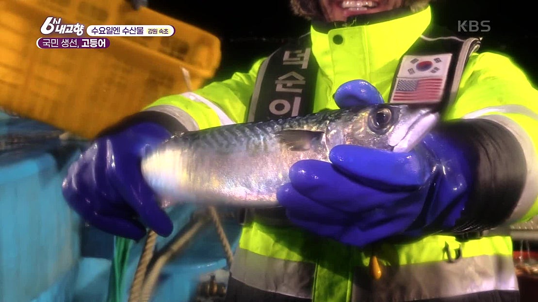 [수요일엔 수산물] 국민 생선, 고등어 | KBS 230104 방송 - 네이버 TV