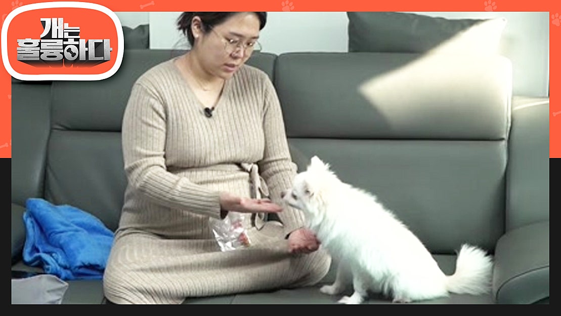 공격성은 온데간데없이 아빠 보호자가 떠난 뒤 다정한 엄마 보호자와 루나? | KBS 230123 방송 - 네이버 TV