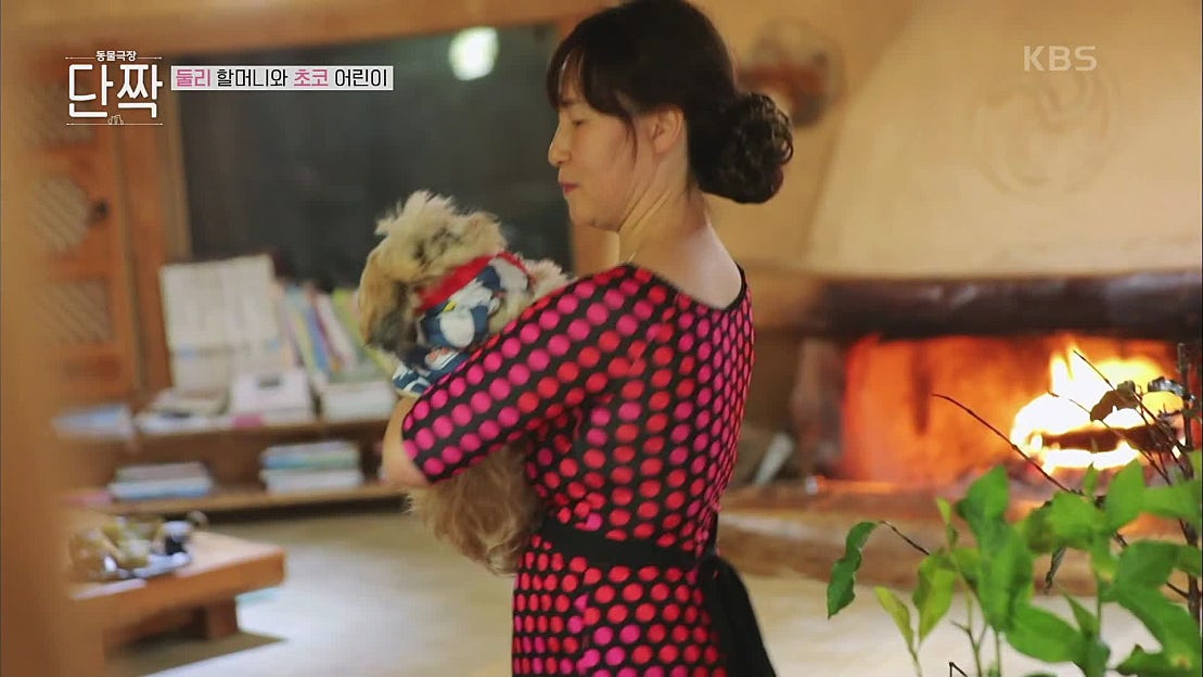 함께 있기에 더 빛나는 밤, 서로에게 온전히 집중하는 시간 | KBS 230128 방송 - 네이버 TV