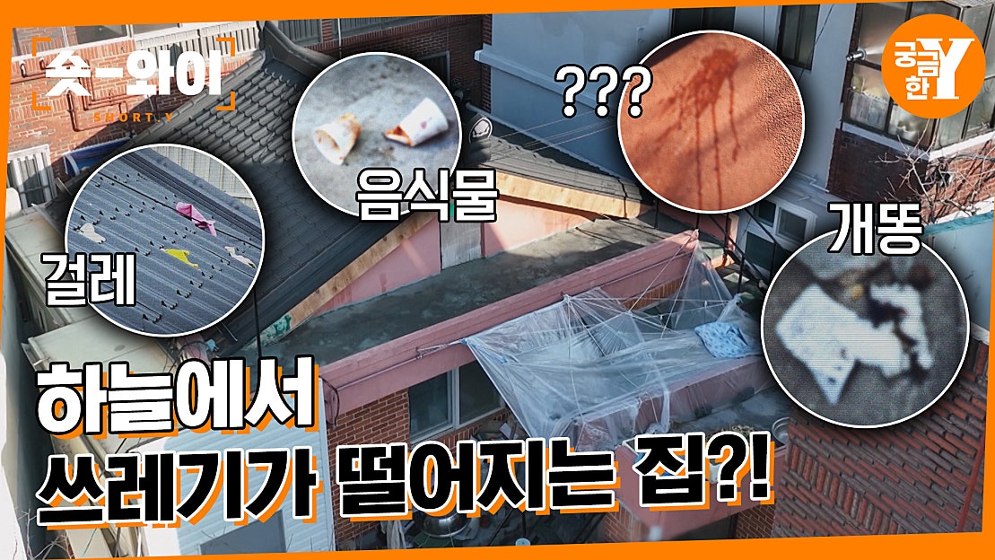 [Y 620회 요약] 개똥, 음식물, 걸레까지... 여자의 건물만 골라 테러하는 남자 | 숏와이 - 네이버 TV