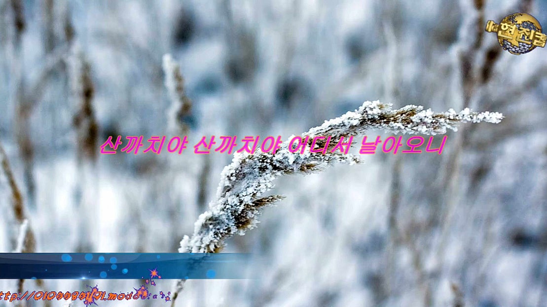 MR반주_산 까치야(최안순) - 네이버 TV