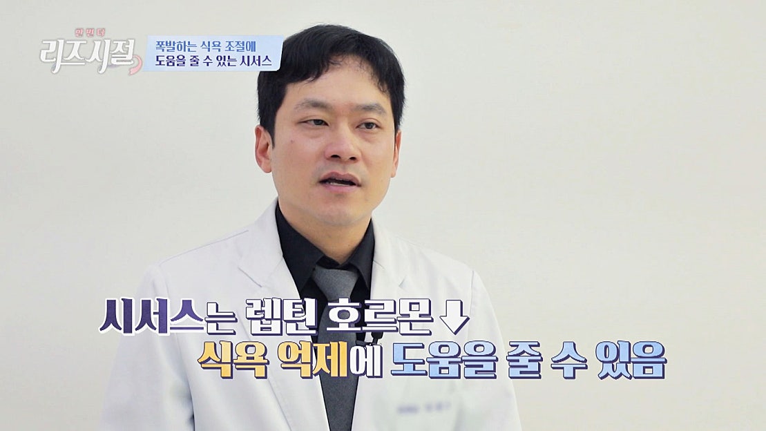 ((다이어트)) 식욕 조절에 도움 주는 시서스!(•̀ᴗ•́)و ̑̑ | JTBC 230211 방송 - 네이버 TV