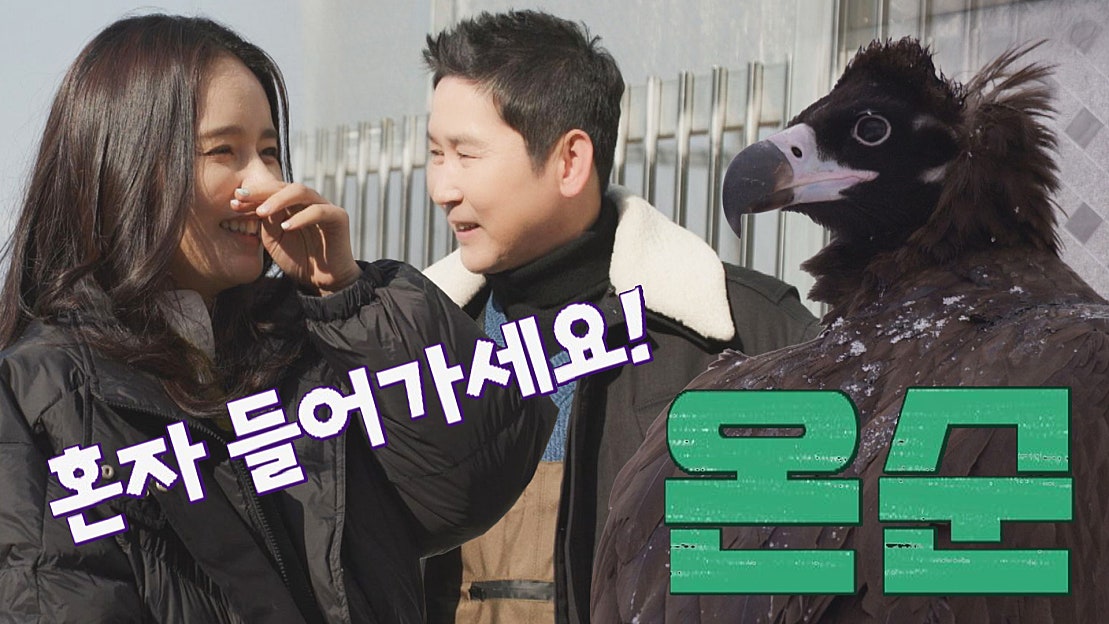 생각보다 온순한(?) 동물 '독수리🦅' 들어가자고 떼쓰는 신동엽?! ㅋㅋ | JTBC 230221 방송 - 네이버 TV
