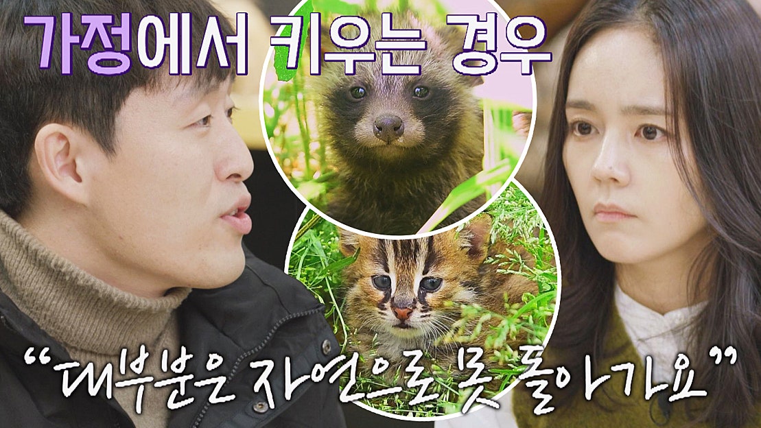 야생 동물을 '가정'에서 키우는 행동 구조센터로 빠른 연락🤙 | JTBC 230221 방송 - 네이버 TV