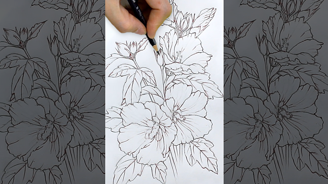 우리나라 우리꽃 | 무궁화 스케치와 전사과정 | Rose of Sharon Drawing - 네이버 TV