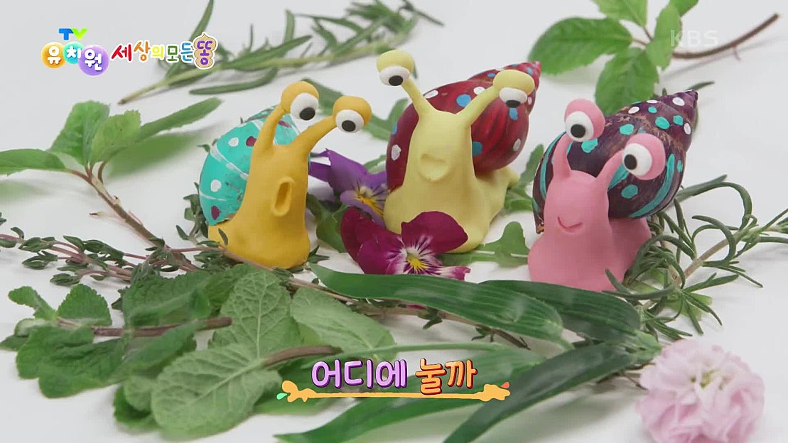 [세상의 모든 똥] 알록달록 달팽이 똥! 빨주노초파남보 무지개 똥! | KBS 230315 방송 - 네이버 TV