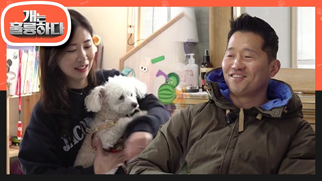 강 훈련사, 짖음이 심한 밤비가 고민인 보호자에 “교육하는 게 아니에요..” | KBS 230320 방송 - 네이버 TV