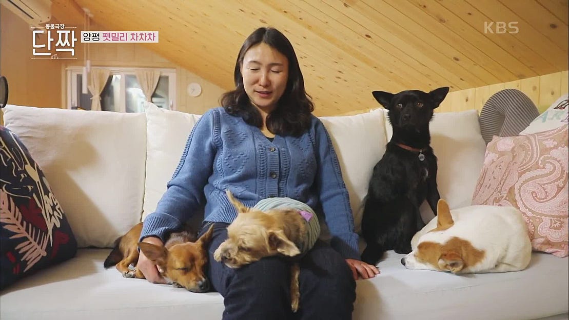 사랑하는 사둥이를 위한 아빠의 축하 공연 | KBS 230325 방송 - 네이버 TV