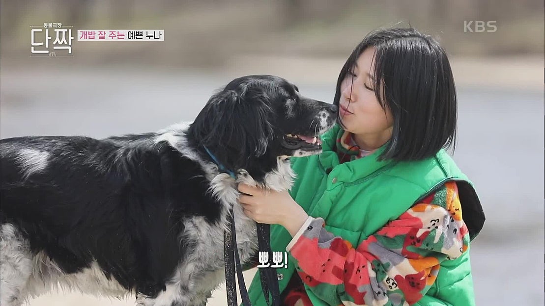 개밥 잘 주는 예쁜 누나 | KBS 230401 방송 - 네이버 TV