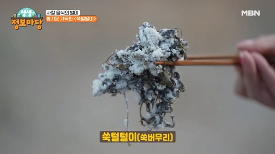 봄기운 가득한＜쑥털털이＞!! MBN 230411 방송 - 네이버 TV