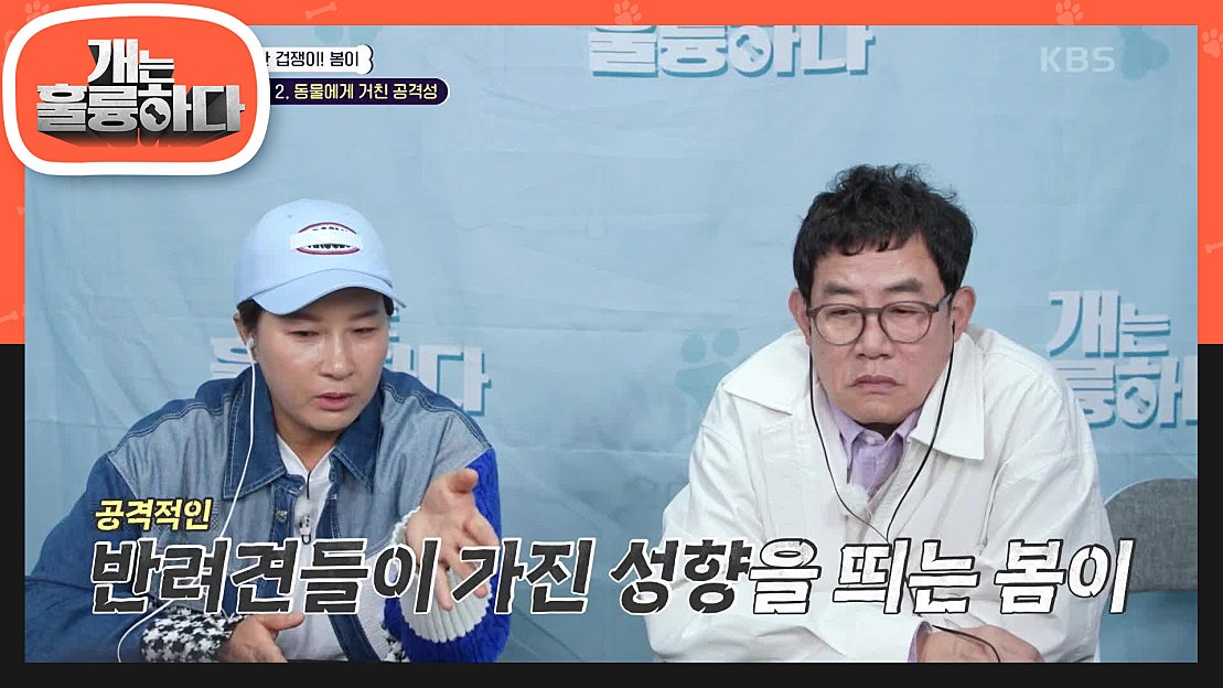 공격적인 반려견의 특징을 갖고 있는 봄이 좀 더 나은 보호자로서 교육하고 교감하고픈 보호자 Kbs 230424 방송