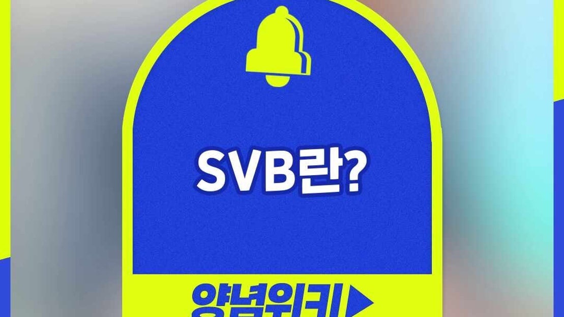 SVB란? - 네이버 TV