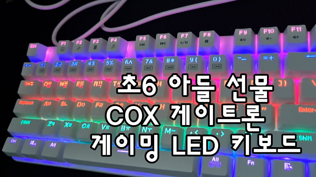 COX 축교환식 레인보우 LED 기계식 게이밍 키보드 Ck420 - 네이버 TV