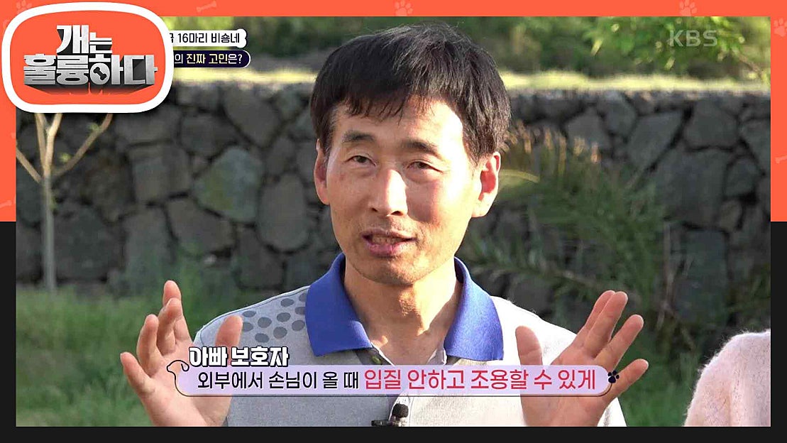 아빠 보호자의 고민은 위협적인 단체 입질과 약한 봄이를 린치하는 반려견들😨 Kbs 230529 방송 네이버 Tv
