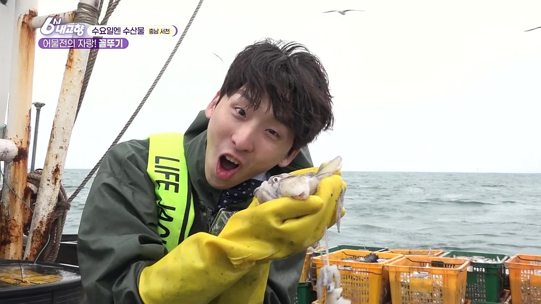 [수요일엔 수산물] 어물전의 자랑! 꼴뚜기 | KBS 230531 방송 - 네이버 TV