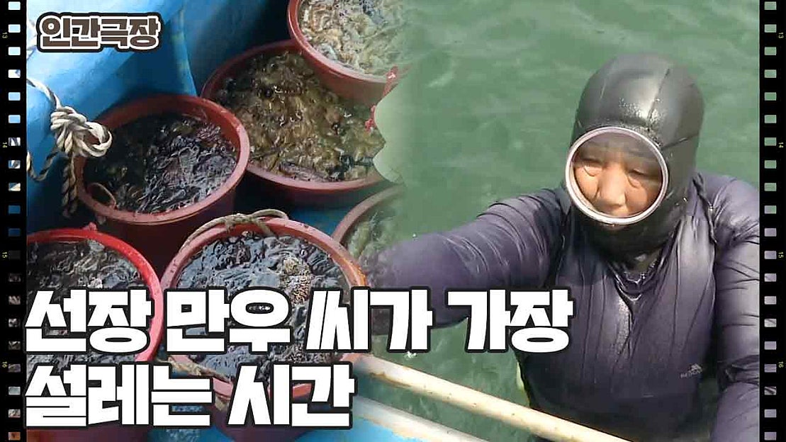 [한 지붕 해녀 오총사 1부] (1/15) [인간극장/Screening Humanity] | KBS 230612 방송 - 네이버 TV