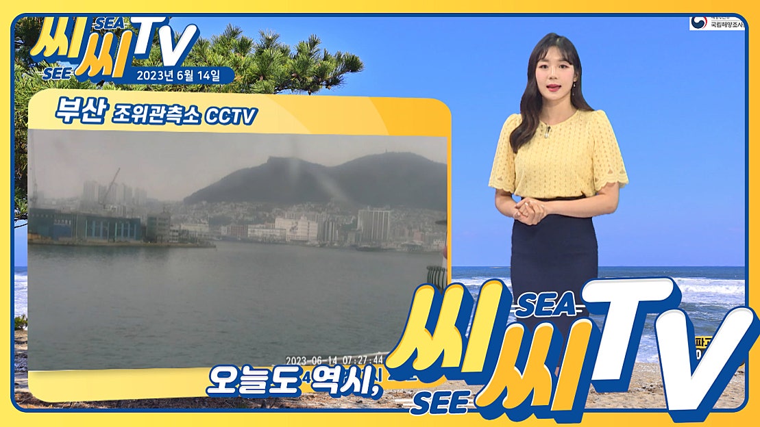 [See Sea TV] 23년6월14일 부산과 포항 등 곳곳에서는 바다안개에 유의/ 해양예보방송 - 네이버 TV