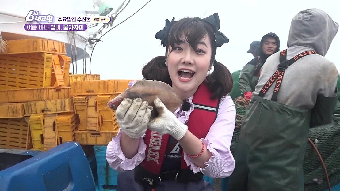 [수요일엔 수산물] 여름 바다의 별미, 물가자미 | KBS 230621 방송 - 네이버 TV