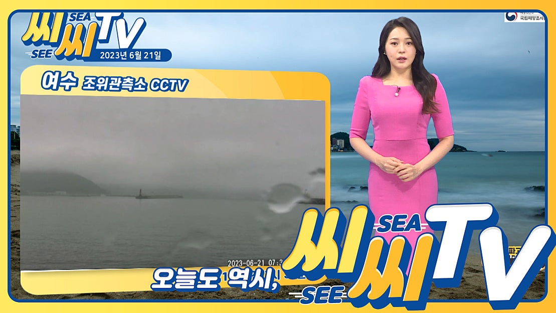 [See Sea TV]23년6월21일 서해안, 남해안, 제주연안 해무 주의 / 해양예보방송 - 네이버 TV