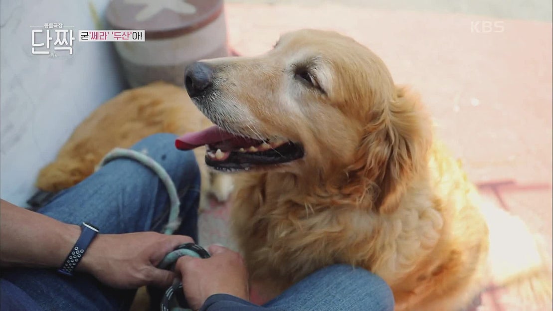 굳 ‘쎄라’ ‘두산’아! | KBS 230624 방송 - 네이버 TV