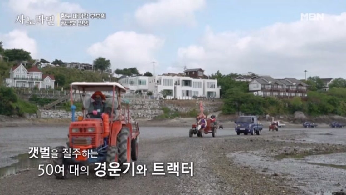 갯벌로 돌격하라! 입이 떡 벌어지는 경운기와 트랙터의 갯벌 질주 MBN 230630 방송 - 네이버 TV