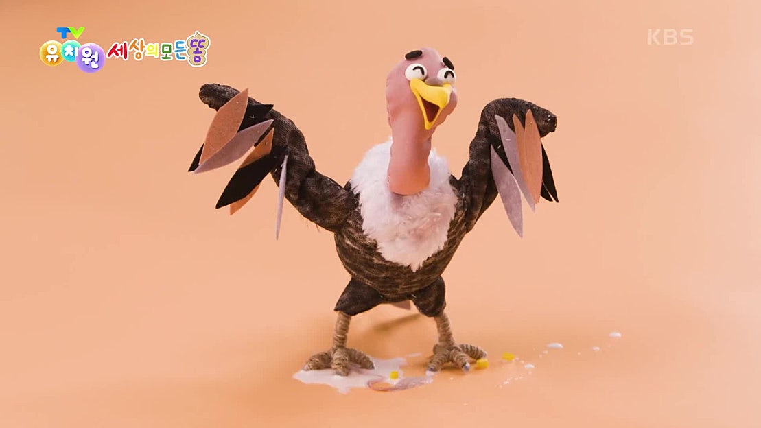 [세상의 모든 똥] 하늘의 제왕이라 불리는 독수리 응가 만들기! | KBS 230712 방송 - 네이버 TV