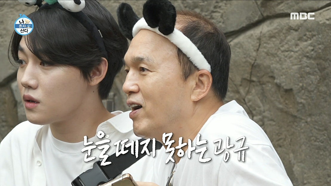푸바오에게 눈을 떼지 못하는 김광규X장준! 🙌 정말 행복해 보이는 광규, MBC 230714 방송 - 네이버 TV