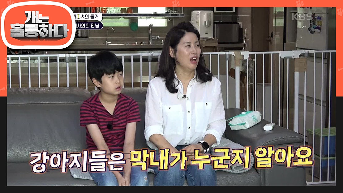 ＂강아지들은 막내가 누군지 알아요＂ 심바의 보호자가 되어주고 싶다면 대장이 되어야 한다! | KBS 230717 방송 - 네이버 TV