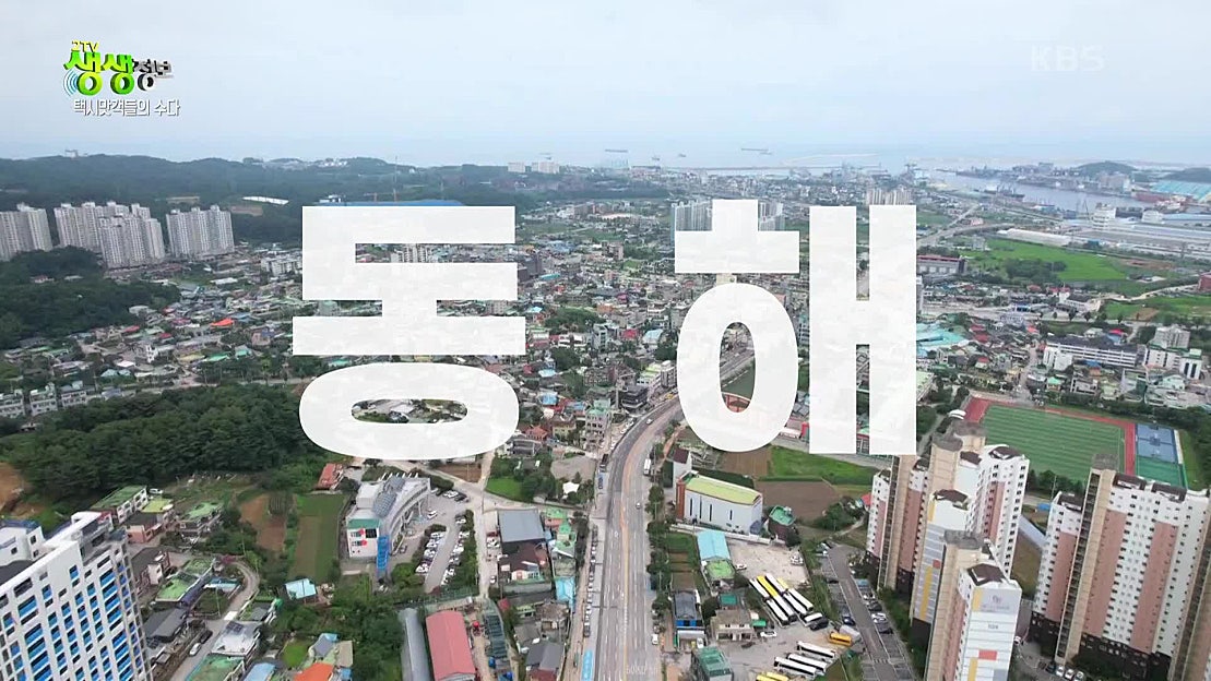 택시맛객들의 수다 : 택시맛객 PICK, 동해시 맛집 | KBS 230726 방송 - 네이버 TV