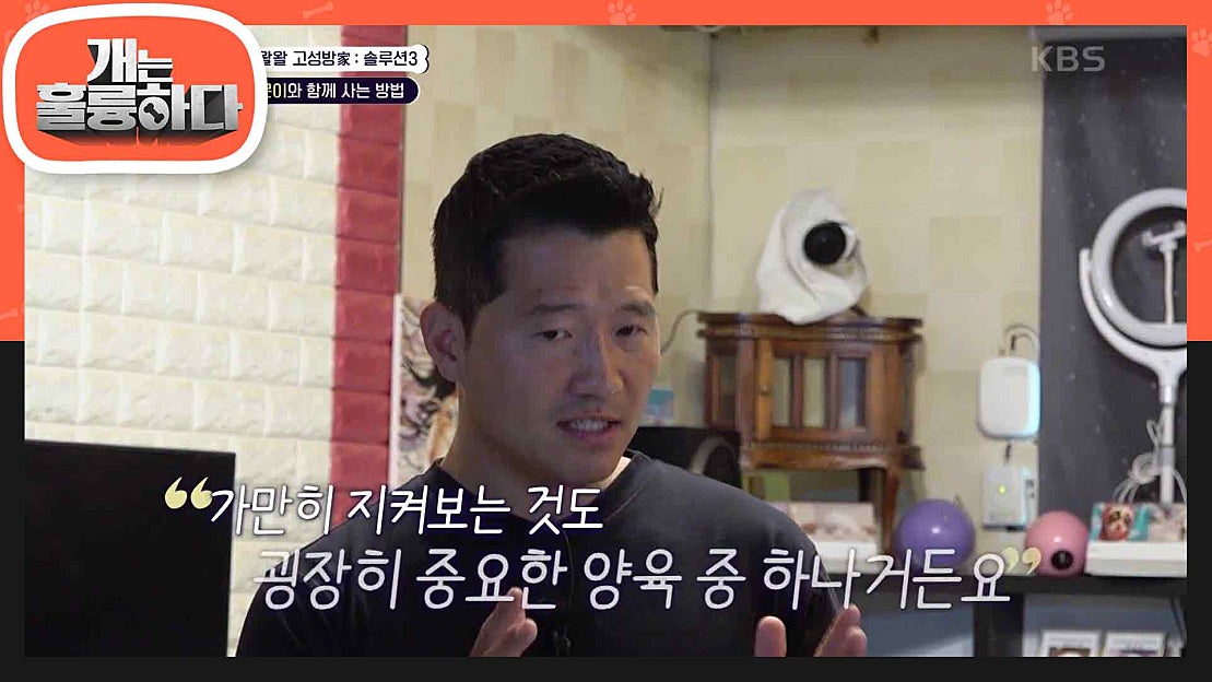가만히 지켜보는 것도 굉장히 중요한 양육 엄마 보호자의 손을 핥으며 좋아하는 몬이 Kbs 230807 방송 네이버 Tv