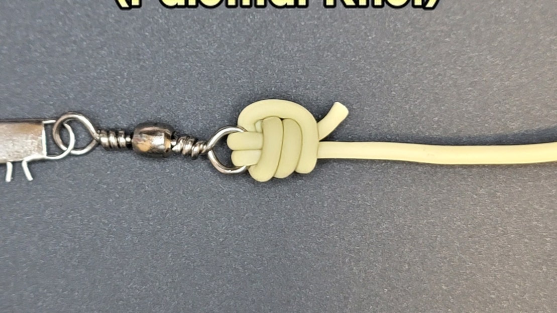 팔로마 노트_Palomar Knot #숏폼 - 네이버 TV