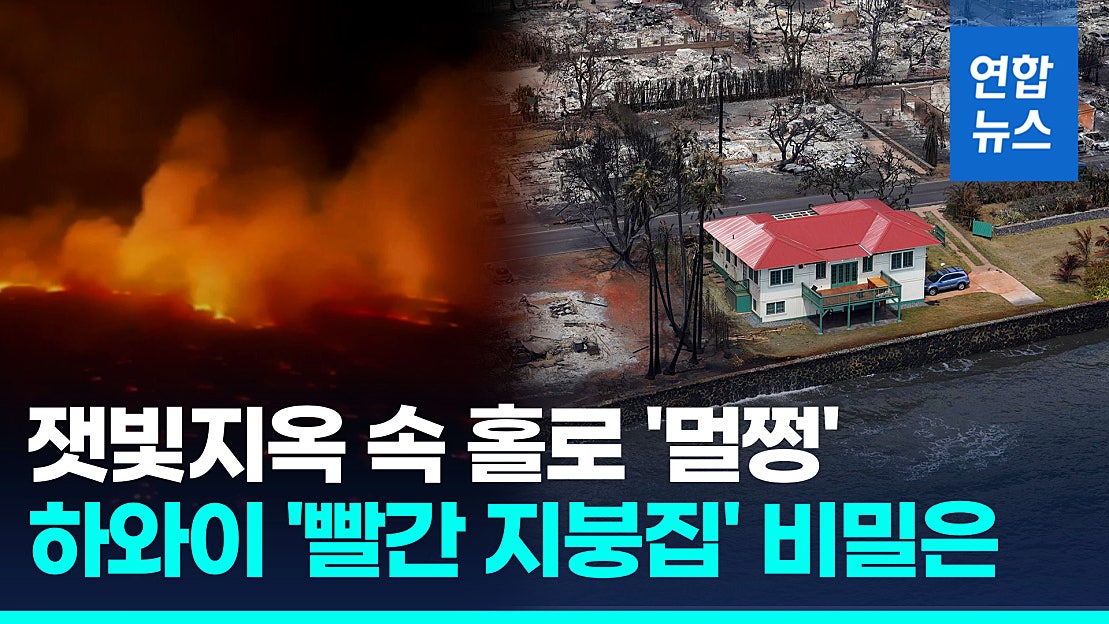 잿더미 속 홀로 멀쩡…하와이 빨간 지붕집 살아남은 이유 네이버 Tv