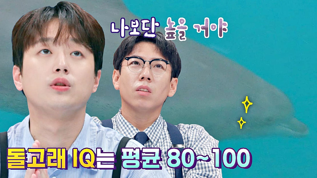 생각보다 높은 돌고래 IQ에 급 숙연해진 양세찬ㅋㅋㅋ | JTBC 230821 방송 - 네이버 TV