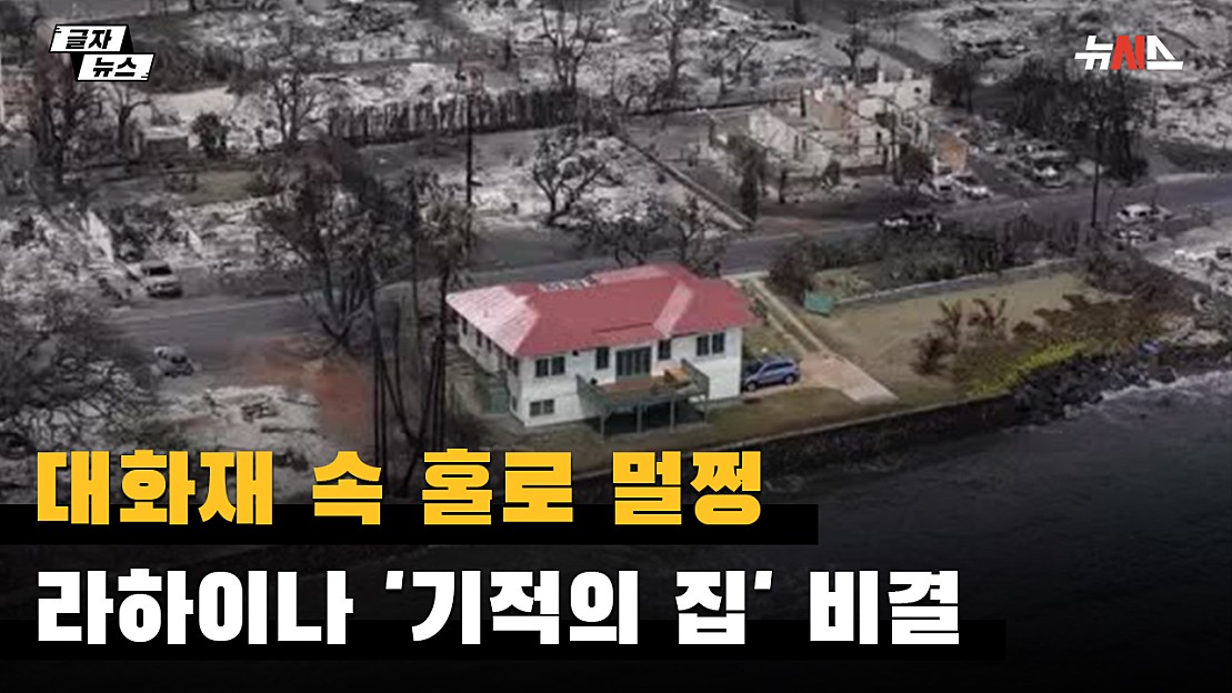 대화재 속 홀로 멀쩡 라하이나 기적의 집 비결 네이버 Tv