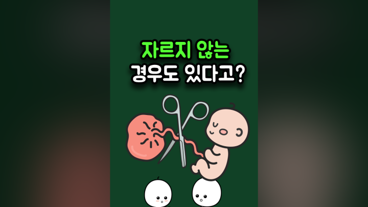 태어난 아기의 탯줄을 안 자르면 어떻게 될까 네이버 Tv