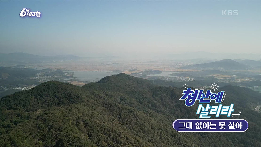 [청산에 살리라] 그대 없이는 못 살아 | KBS 231026 방송 - 네이버 TV