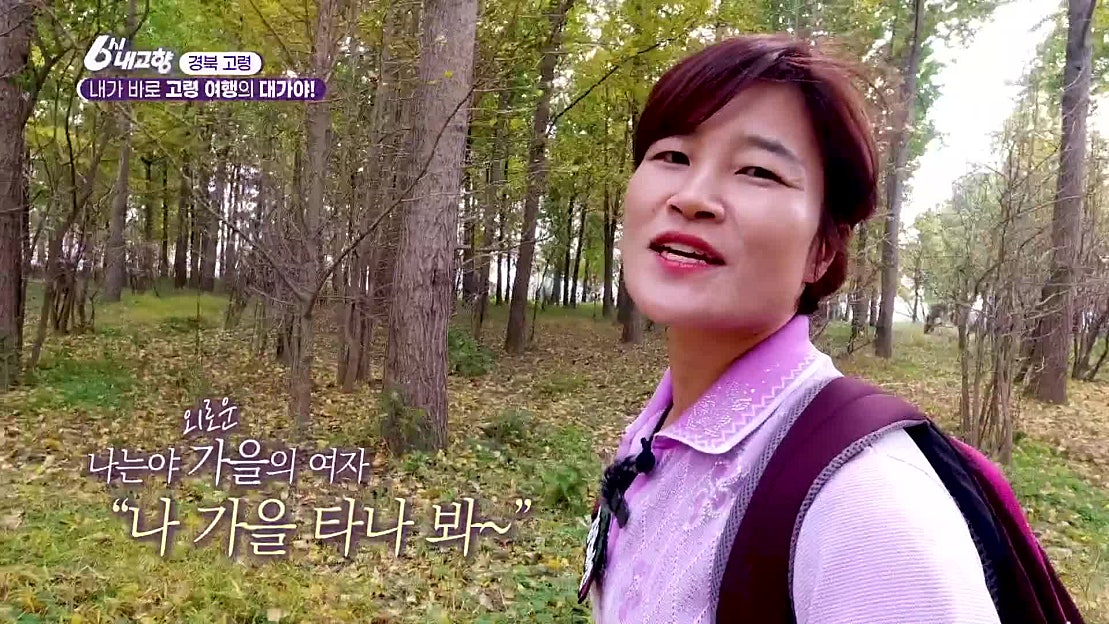 내가 바로 여행의 대가야! | KBS 231110 방송 - 네이버 TV